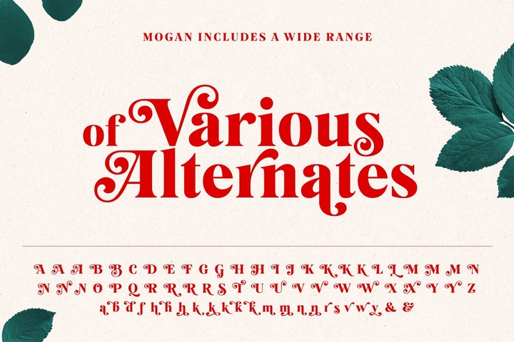 Mogan: download for free and install for your website or Photoshop.