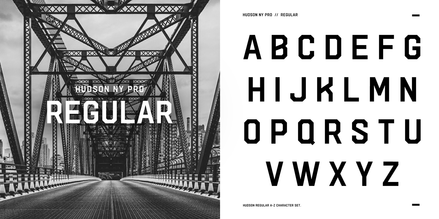 Hudson NY Pro Slab: download for free and install for your website or ...