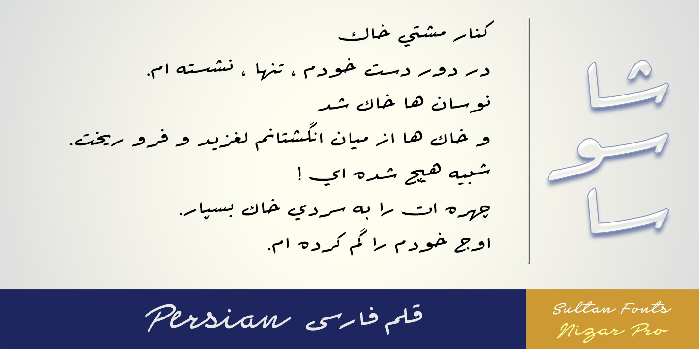 Sultan Nizar Pro: download for free and install for your website or ...